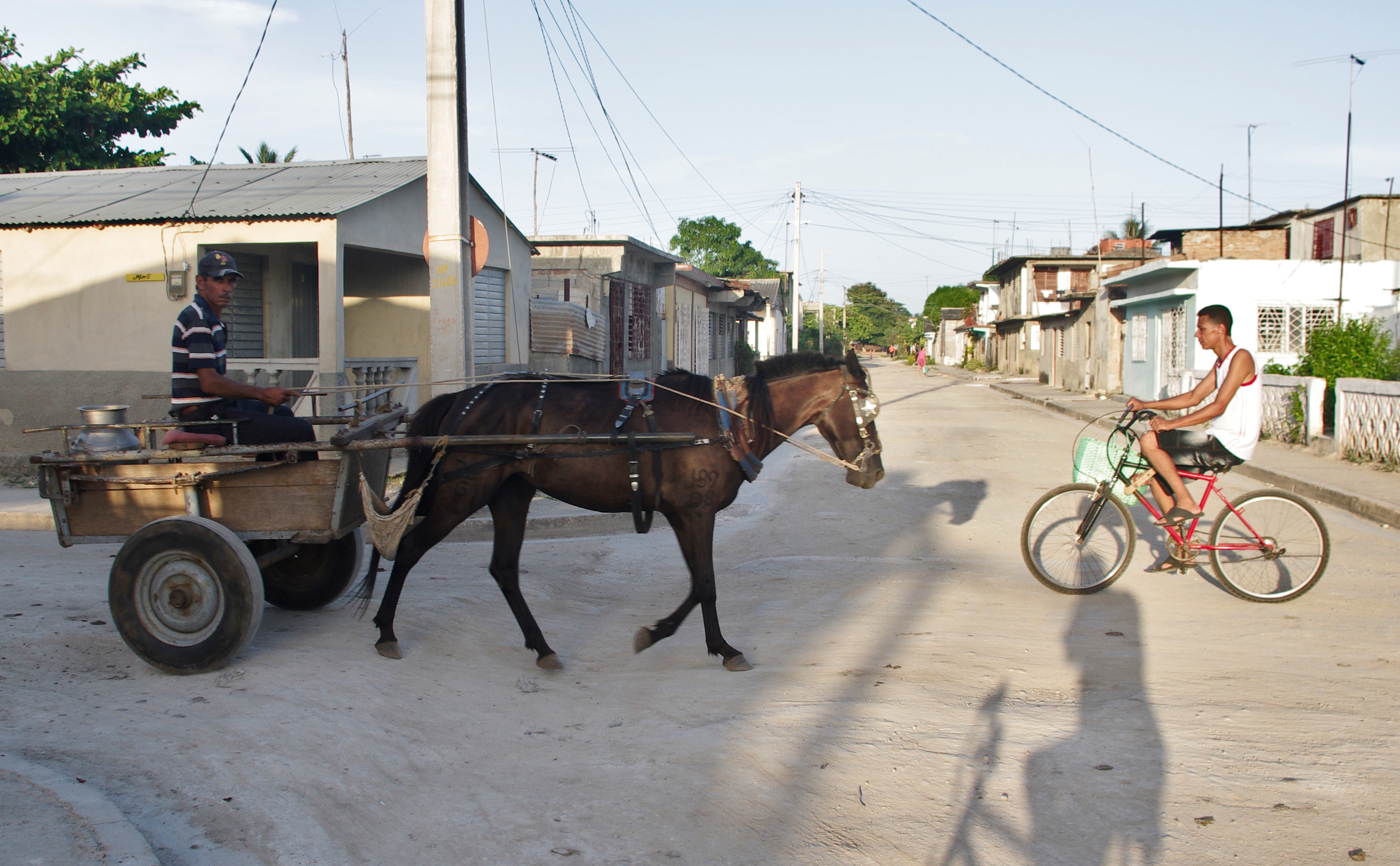 admin – Alessandro Pilotto